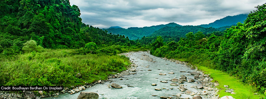 The Best Dooars Tour Plan - Be An Explorer